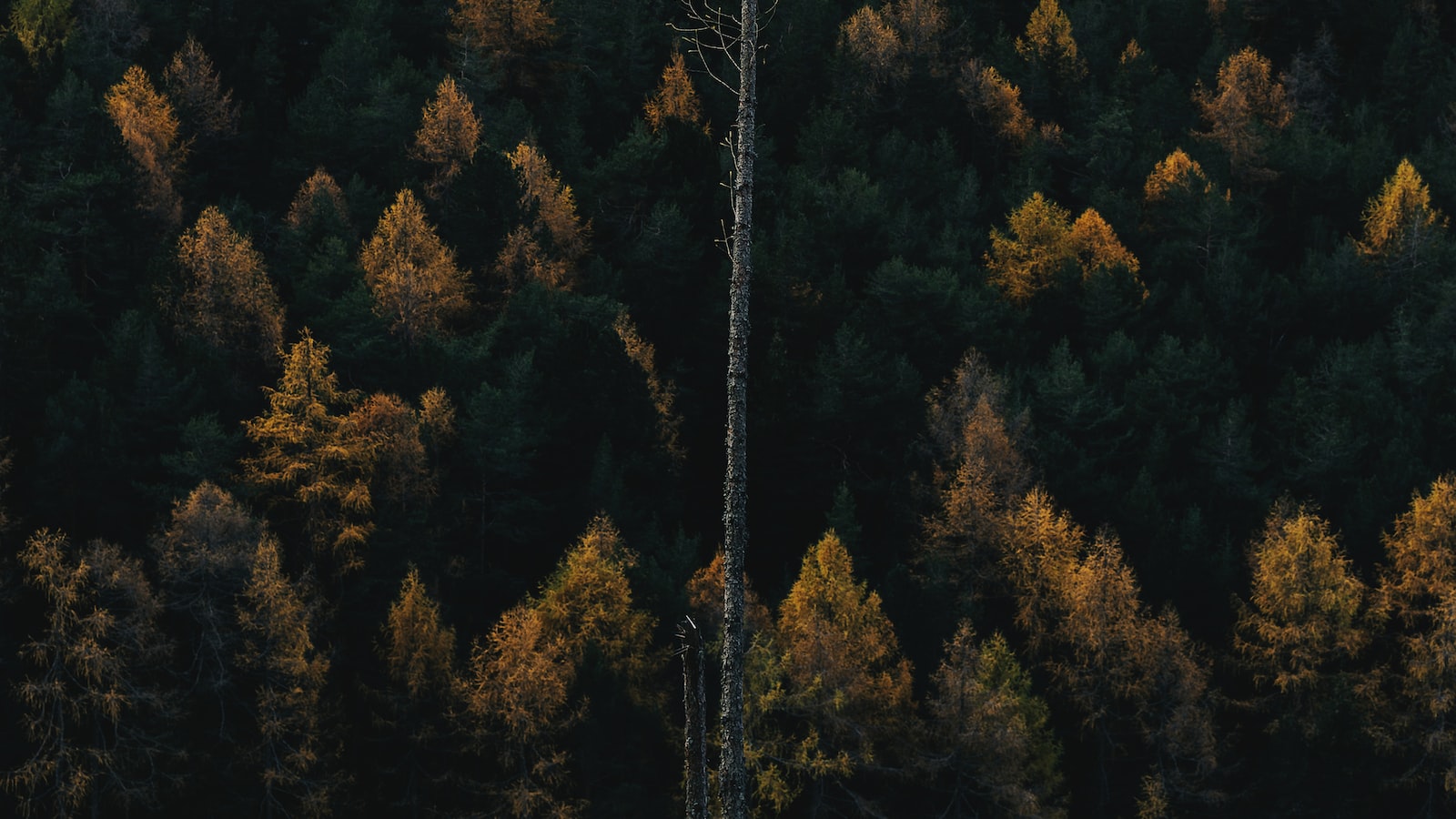 Demystifying Jest Async Testing Patterns — Liran Tal